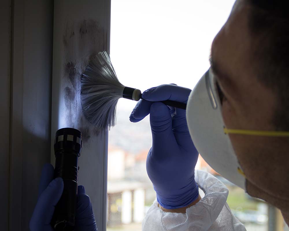 What Can You Do with a Crime Scene Investigation Certificate? | UMGC